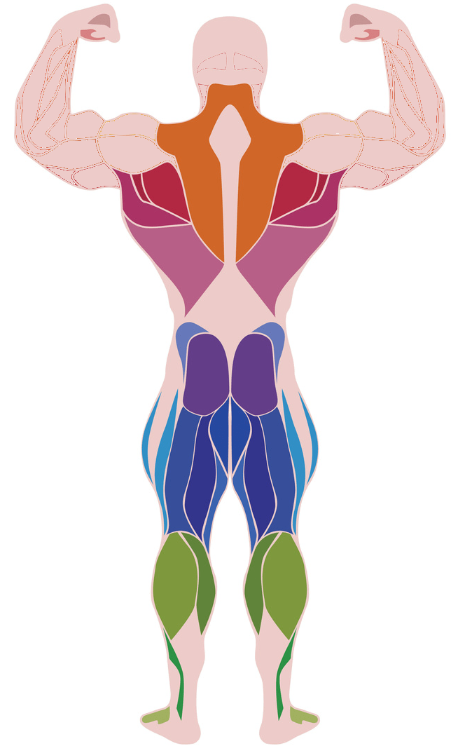 Switch Up Your Deadlifts With The Reeves Deadlift, The Forearm ...