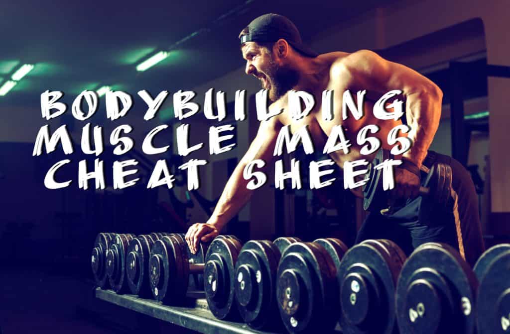 Free Muscle Mass Cheat Sheet Ebook - Grow That Muscle: Build A Quality Body